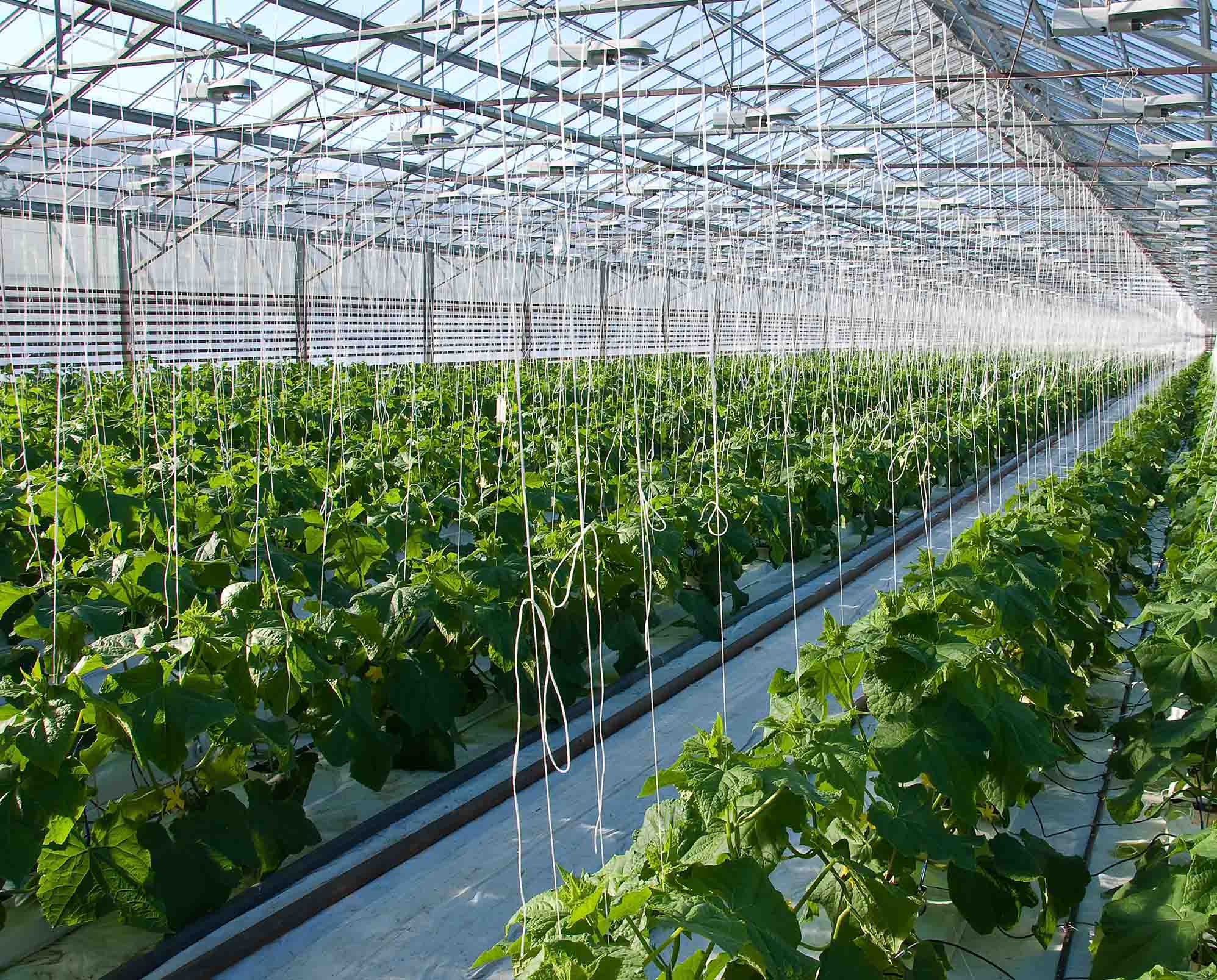 Software ontwikkeling - Itility